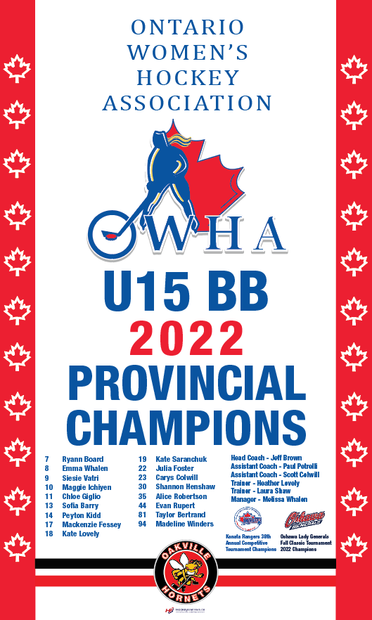 Custom Provincial / State Mini Champions Banners – Hockey Banners